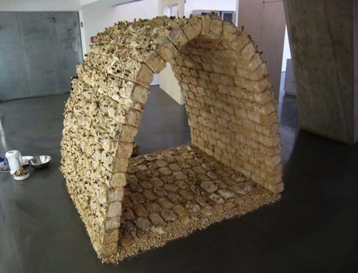 Emerging Materials: Mycelium Brick