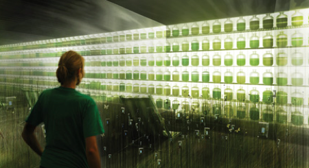 Top 5 Algae-Powered Innovations for your home