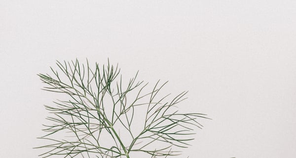 Free Download: Section J Sample Report