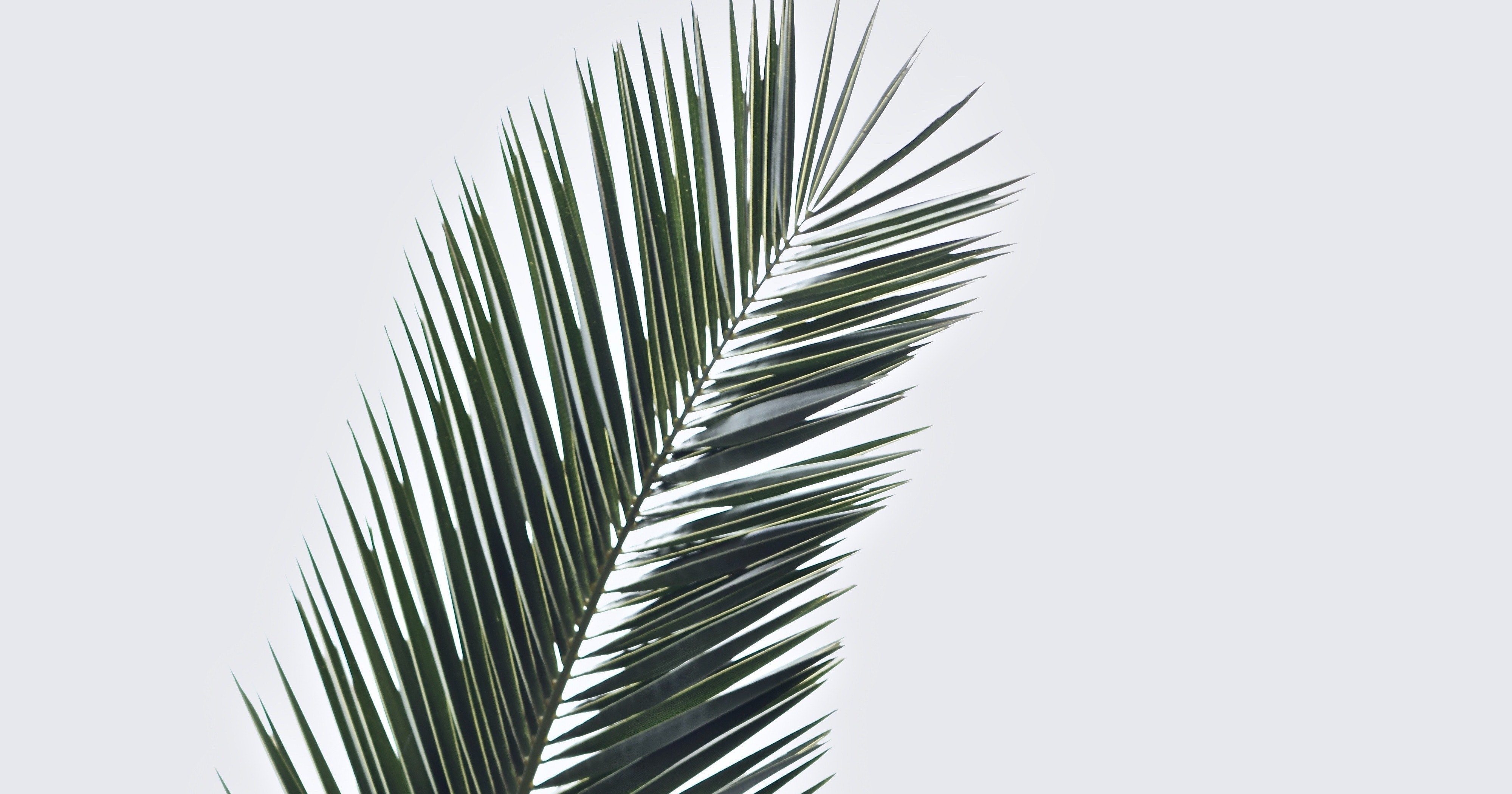 Free Download: NatHERS CHECKLIST